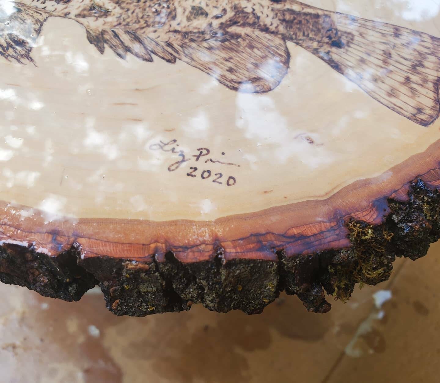 Original Wood-burned Shadow Bass Plaque Pyrography Freshwater - Etsy