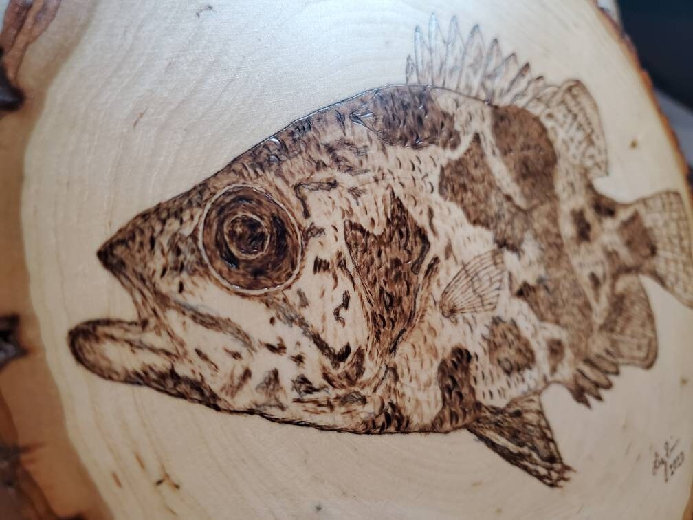 Original Wood-burned Shadow Bass Plaque Pyrography Freshwater - Etsy