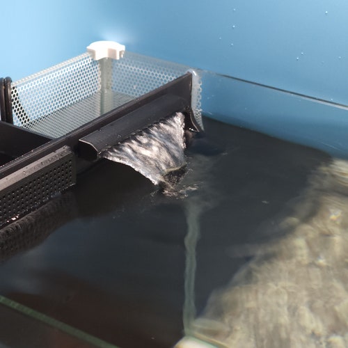 Fluval Evo 13.5 Roller Mat Filter Nano Reef Tank - Etsy