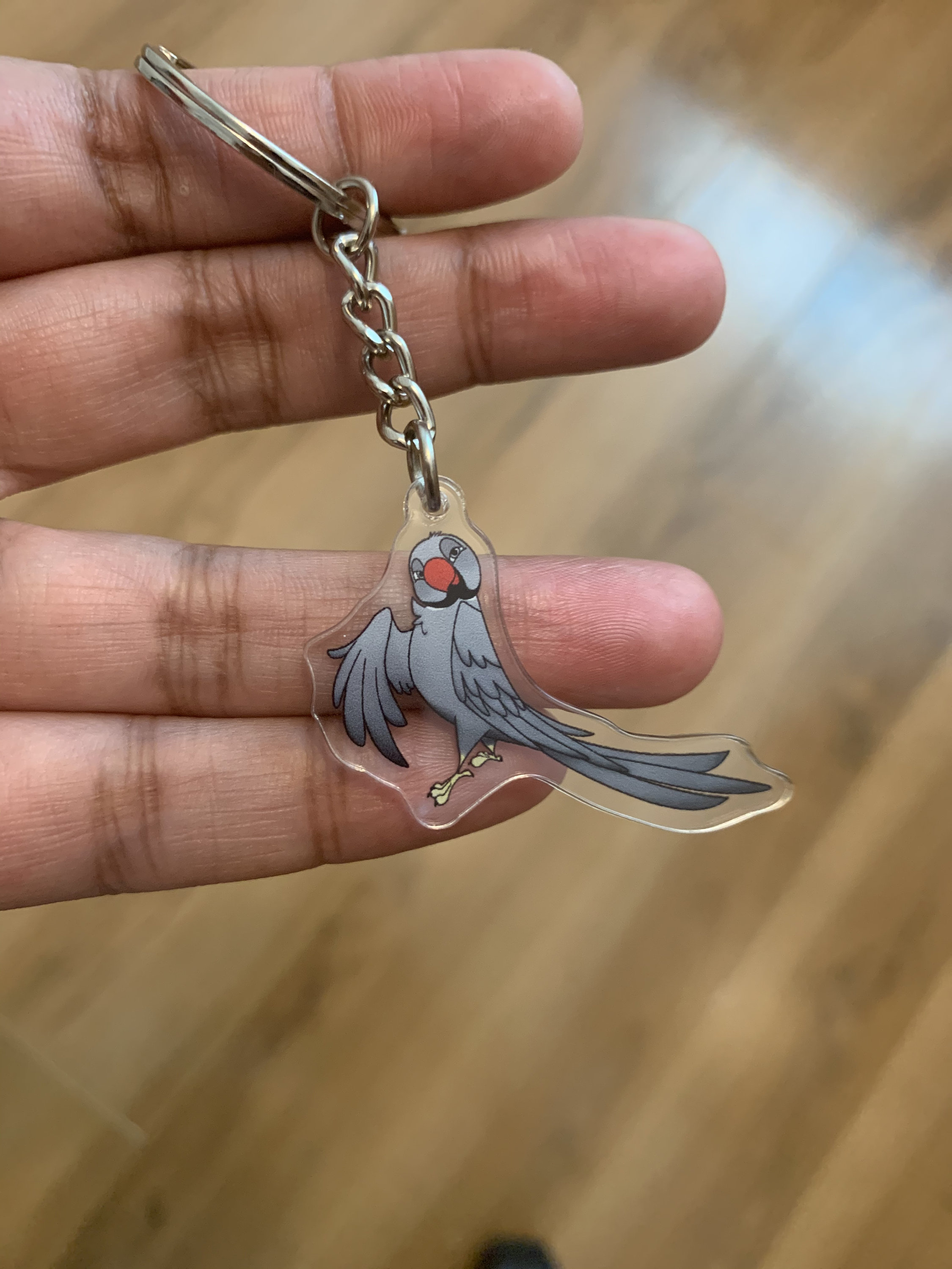 Parrot keychain, Parrot, Ringneck, Grey parrot, Male parrot, Indian ...