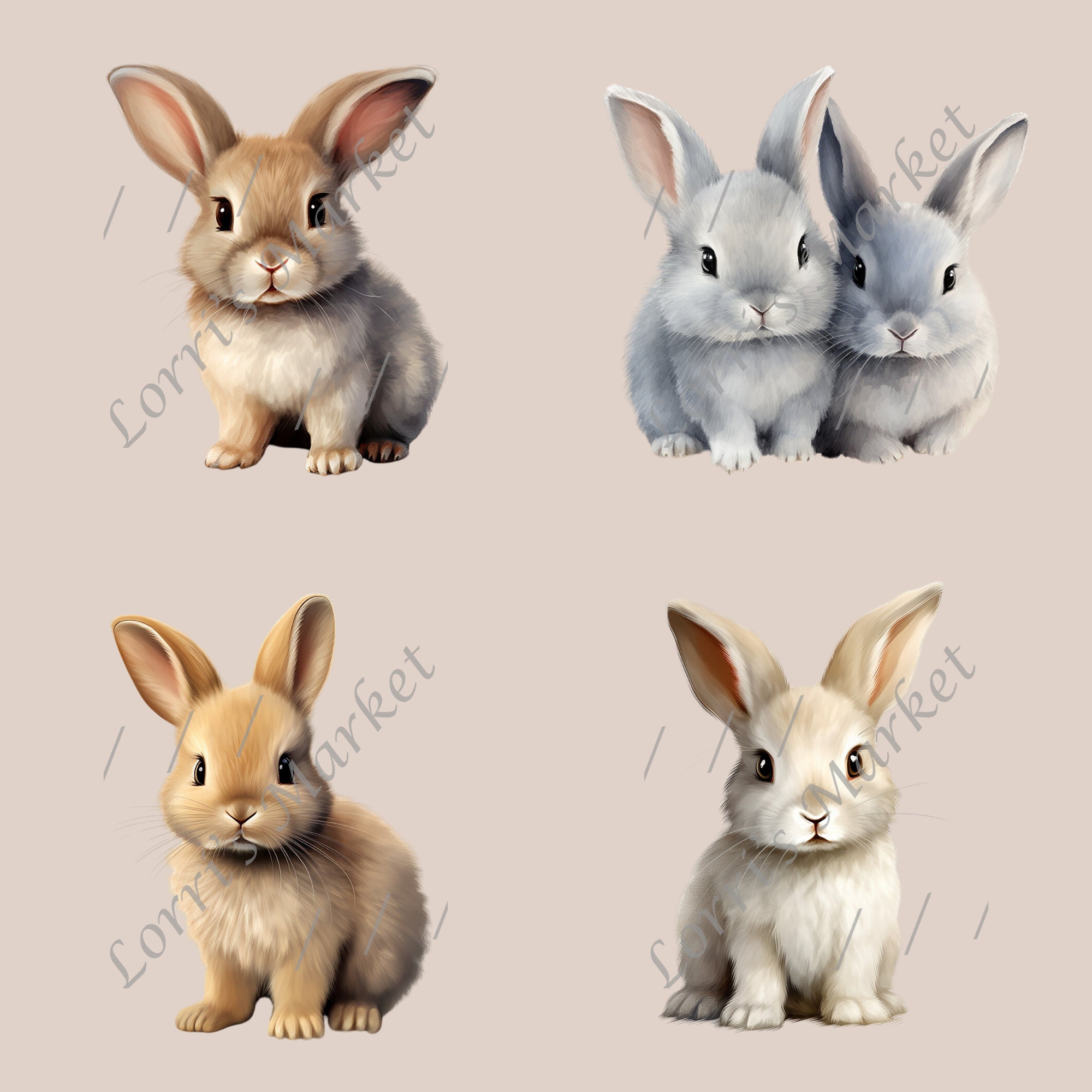 Adorable Baby Bunny Clip Art Collection Digital Download: High-res ...