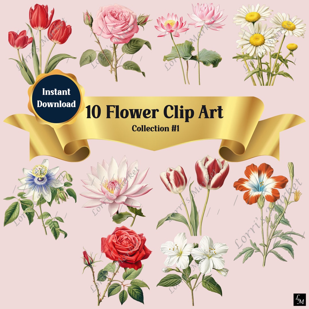 Elegant Floral Clip Art Collection Digital Download: Roses, Lilies ...