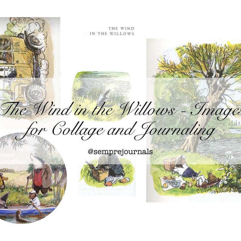 Wind in the Willows - Etsy