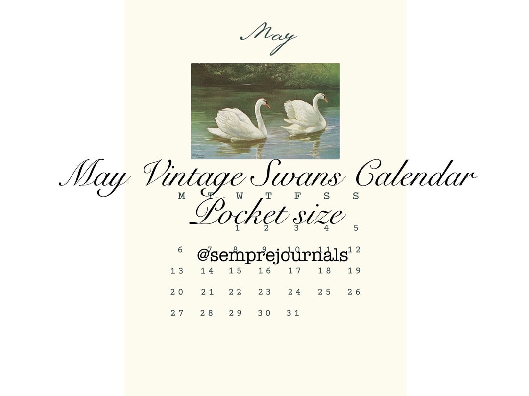 May 2024 Vintage Swans Month Calendar Pocket Size Digital Printable ...