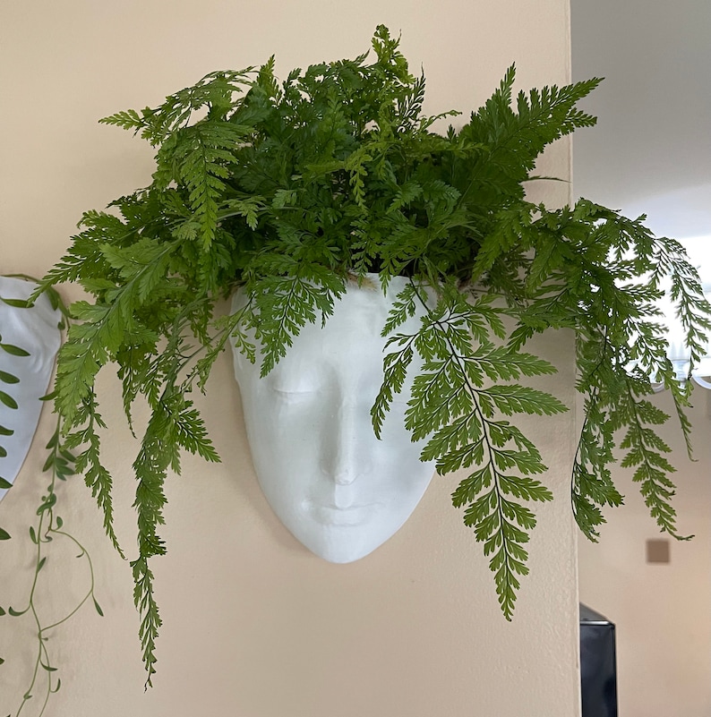3D Printed Hanging Face Planter - Etsy