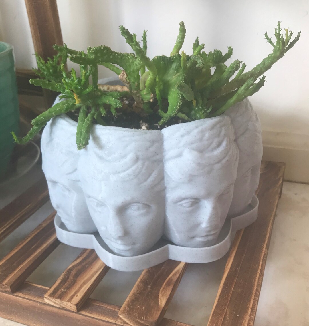 3D Printed Multi-faced Planter - Etsy