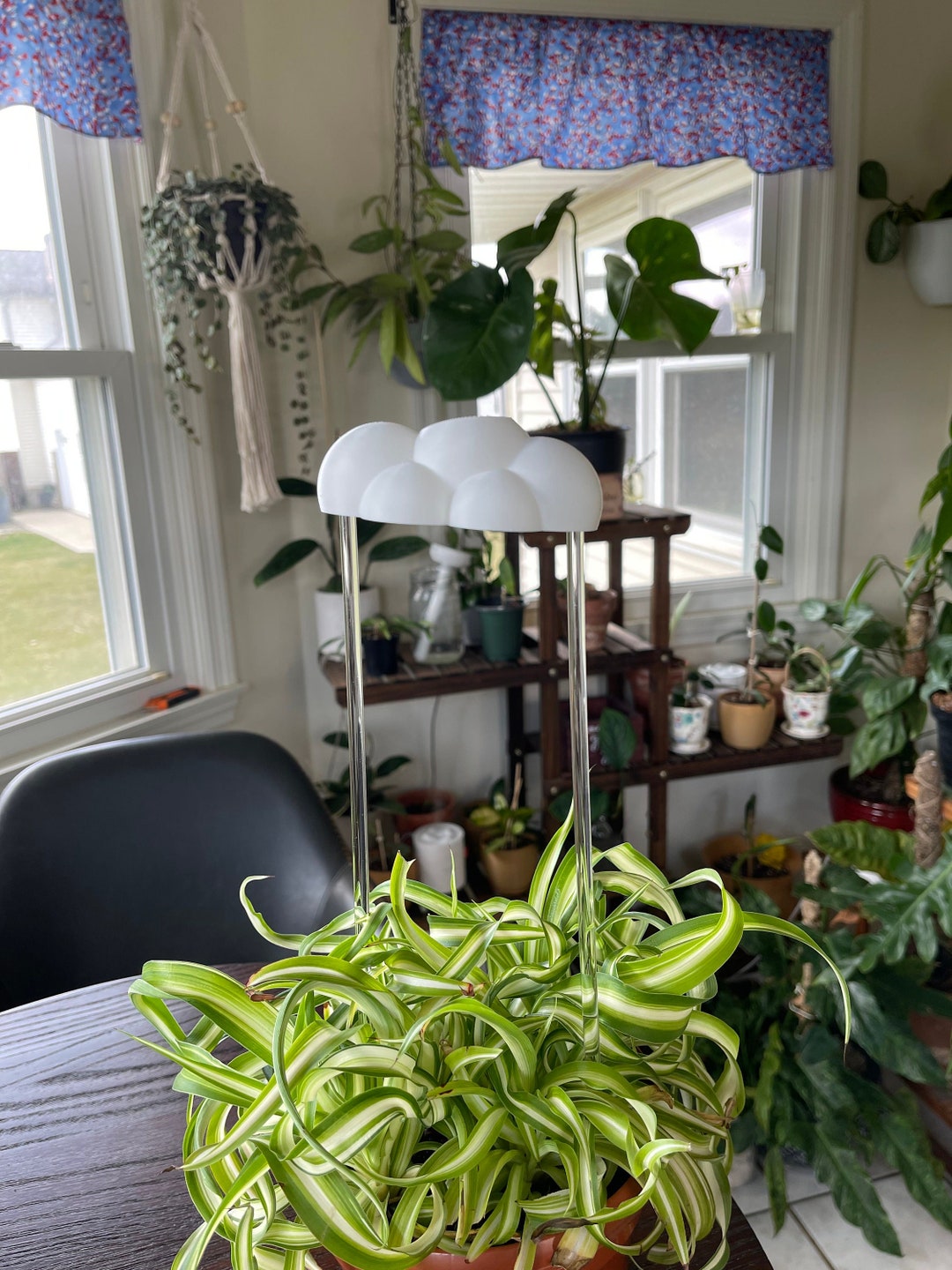 3D Printed Rain Cloud Plant Waterer - Etsy