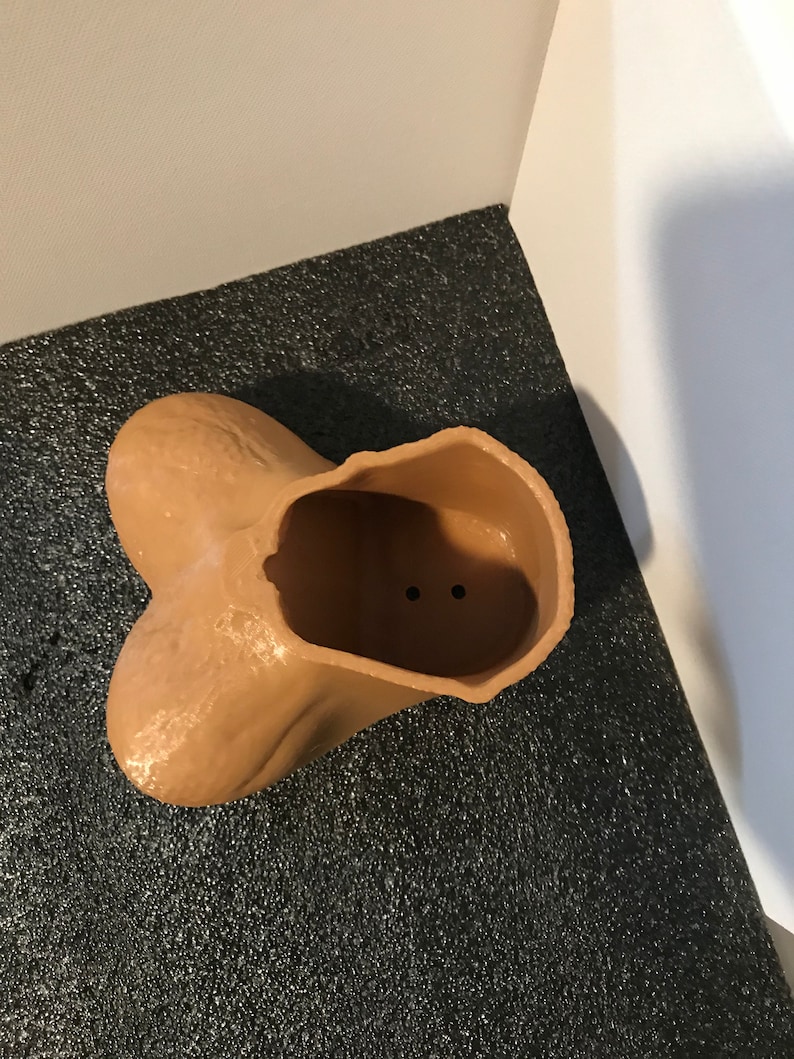3D Printed Testicle Planter - Etsy