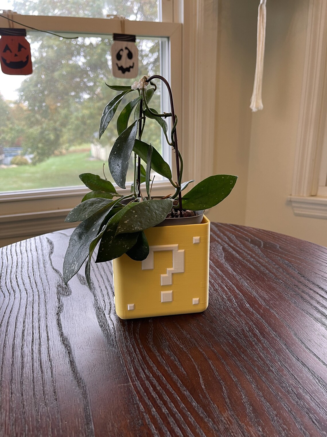 3D Printed Mario Question Mark Block Planter Pot - Etsy