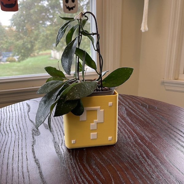 3d Printed Container Mario - Etsy