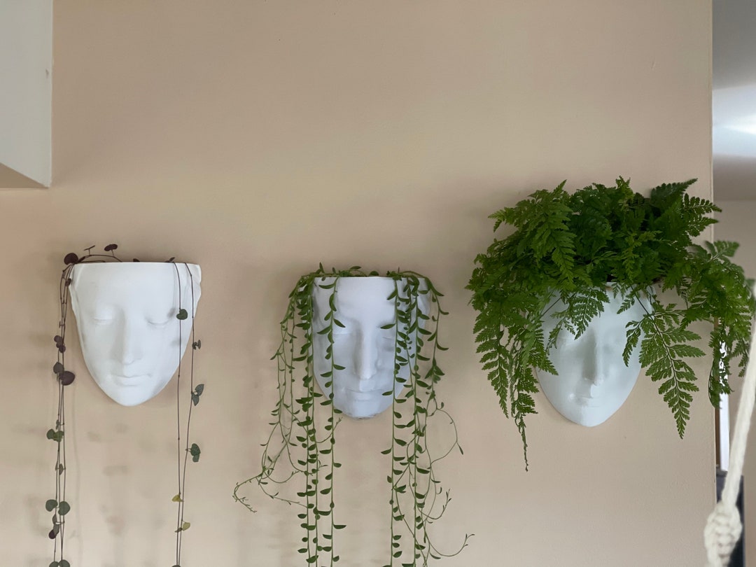 3D Printed Hanging Face Planter - Etsy