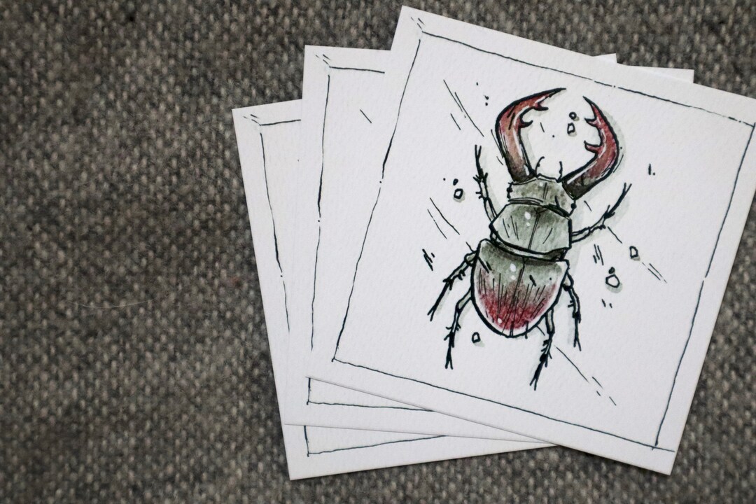 Insect - 4x4" Square Print - Etsy