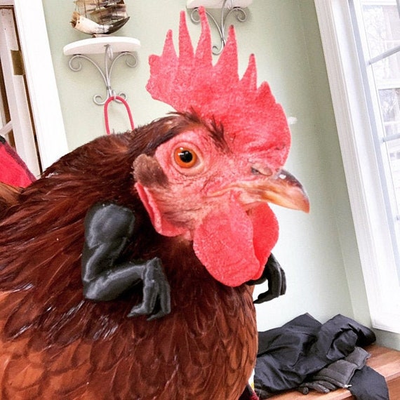 Chicken Gets 3D Printed T-Rex Arms Based On Its Dinosaur, 49% OFF