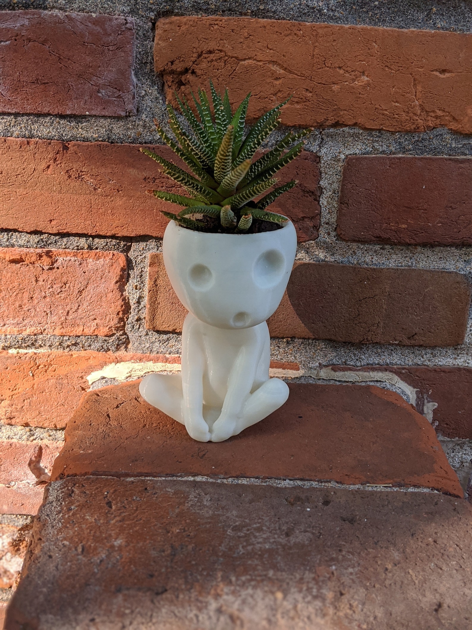 Kodama Succulent Plant Pot Planter Glow in the Dark - Etsy