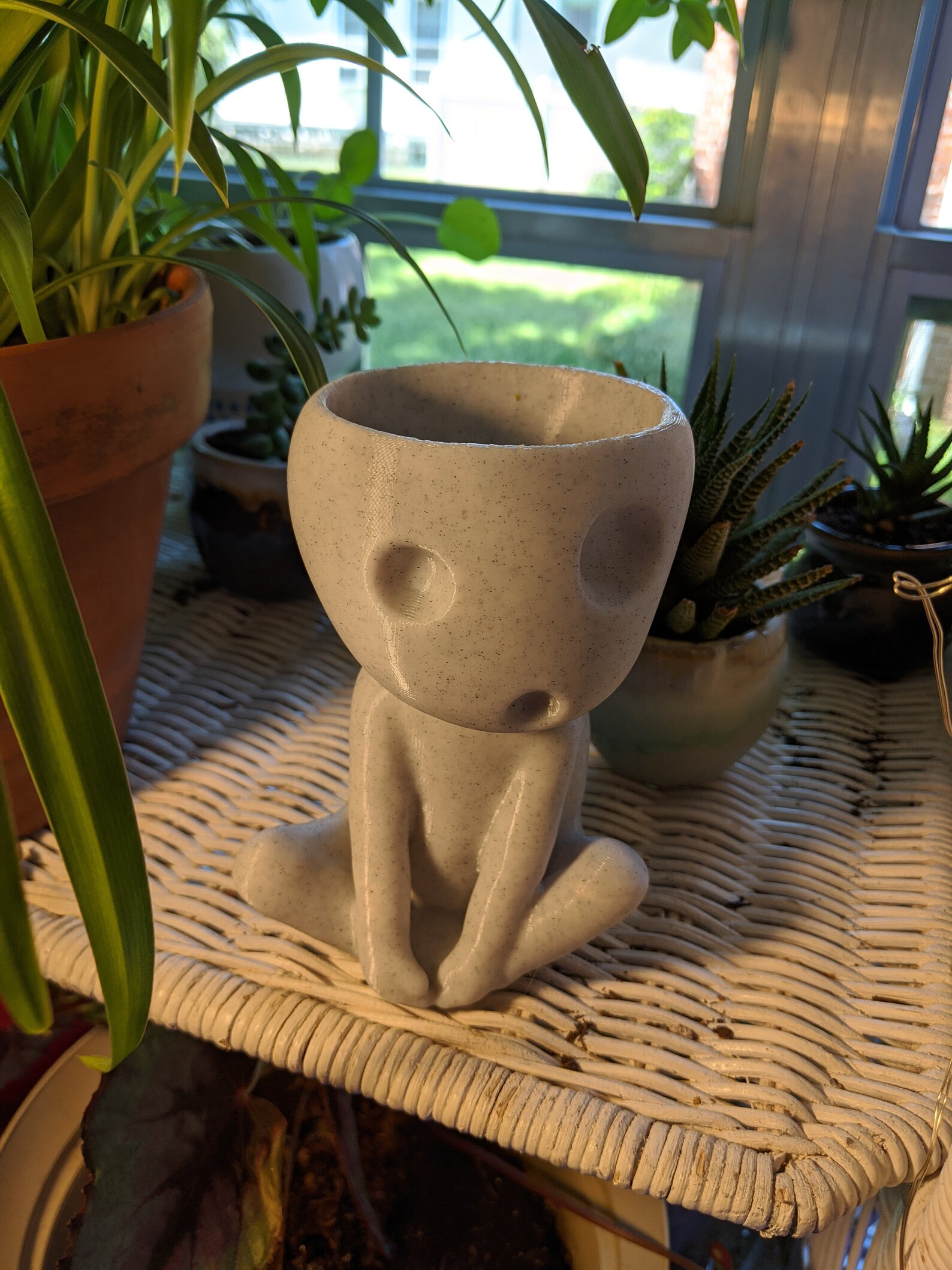 Kodama Succulent Plant Pot Planter Glow in the Dark - Etsy