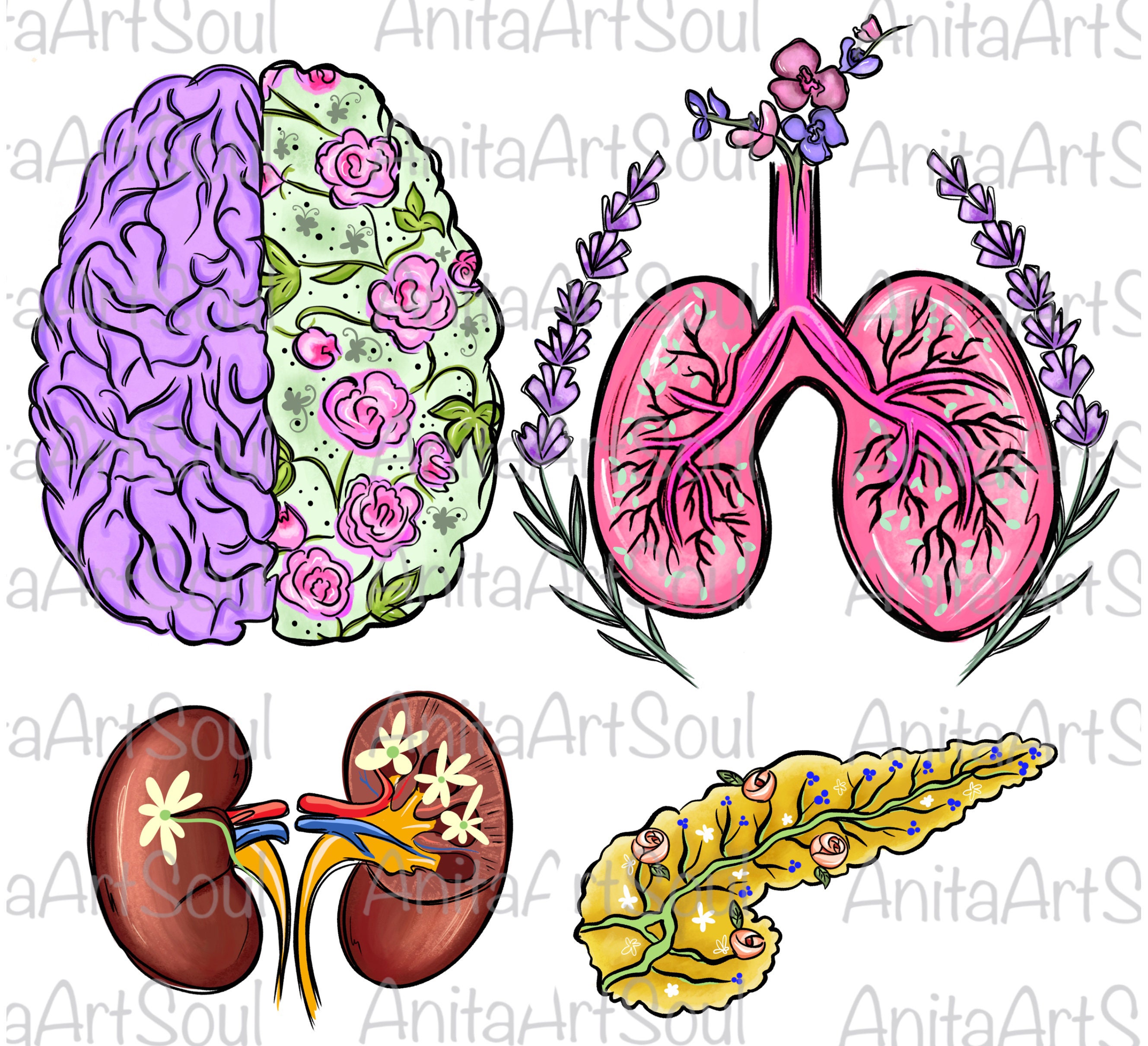 Art & Collectibles Body Organs ClipArt Floral Heart Brain Kidneys Hand ...
