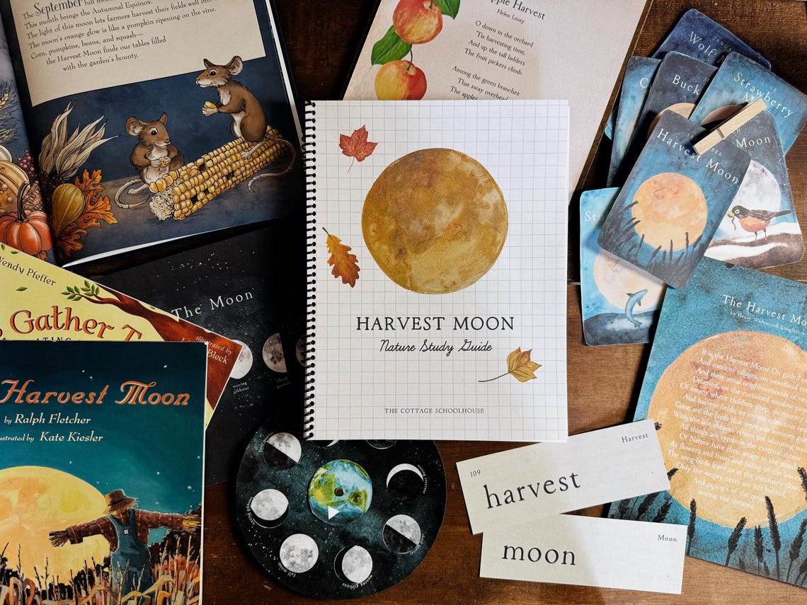 Harvest Moon Nature Study Guide | Instant Download Printable - Etsy