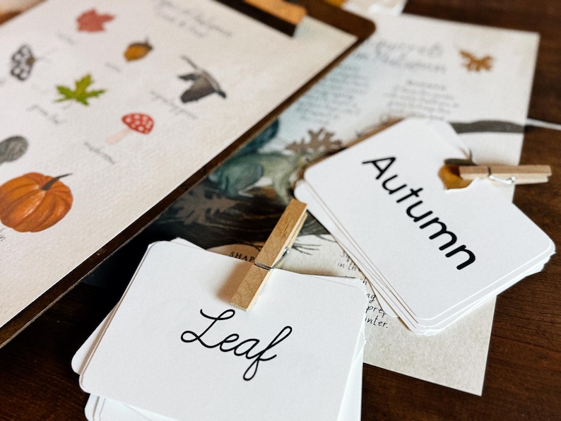 Autumn Equinox Guide | 10 Lessons | Nature Study, Autumn, Whittredge ...