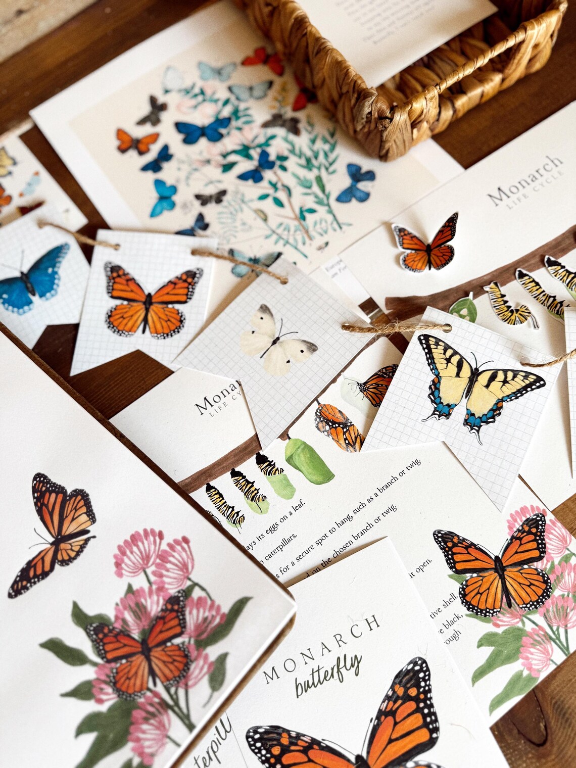 Monarch Butterflies | 5 Lesson Guide | Unit Study Exploring Monarchs ...