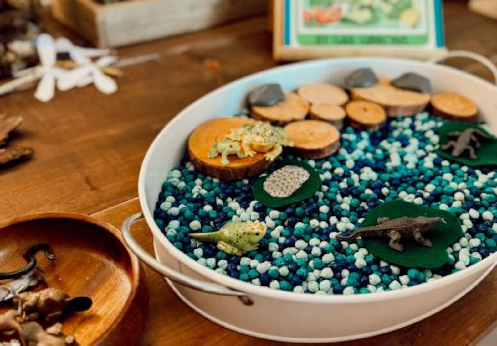 Geese & Migration | 6 Lesson Guide | Unit Study Exploring Canada Geese ...