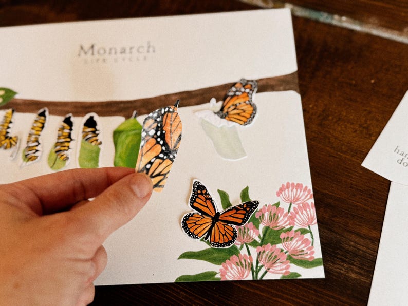 Monarch Butterflies | 5 Lesson Guide | Unit Study Exploring Monarchs ...