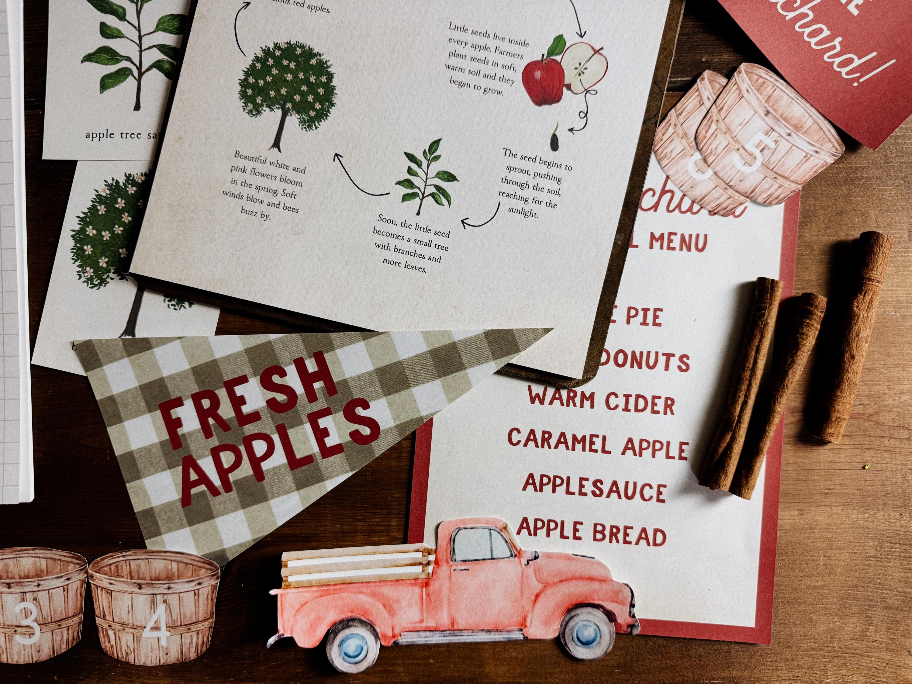 Apple Nature Study Guide | 5 Lesson Unit Study| Johnny Appleseed ...