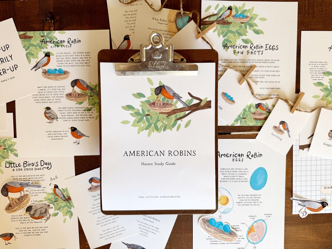 American Robin Guide | 5 Lesson Guide | Unit Study Exploring the Life ...