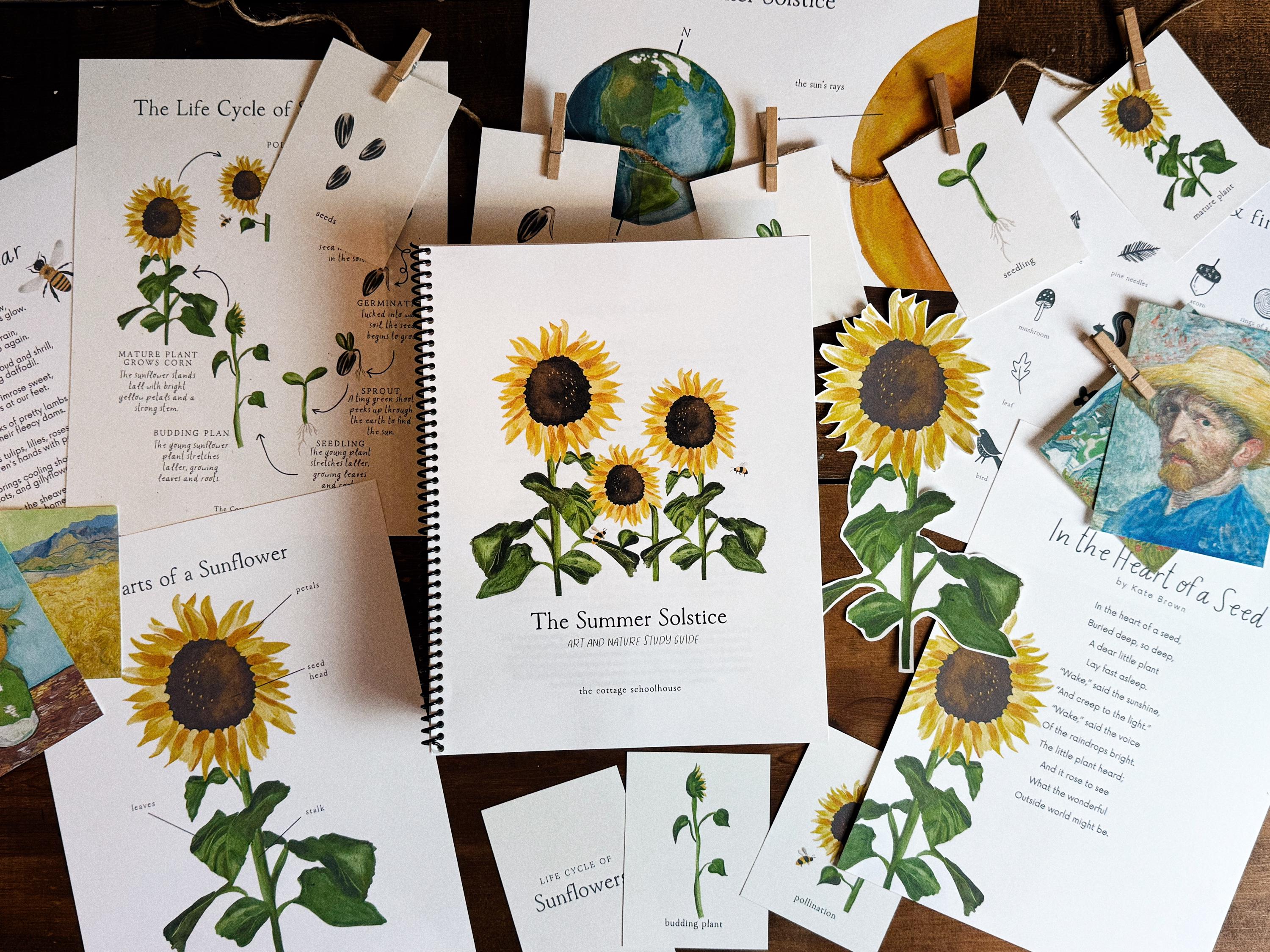 Summer Solstice Art & Nature Study Guide | Summer, Van Gogh Art Study ...