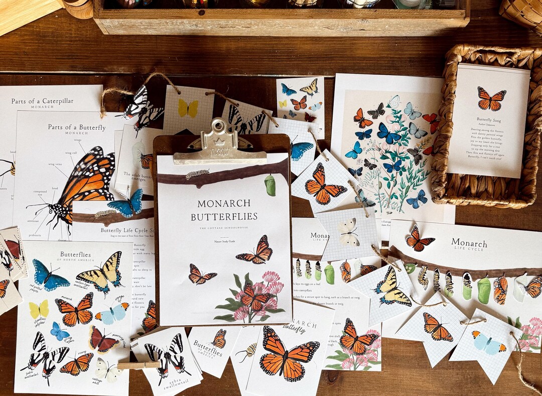 Monarch Butterflies | 5 Lesson Guide | Unit Study Exploring Monarchs ...