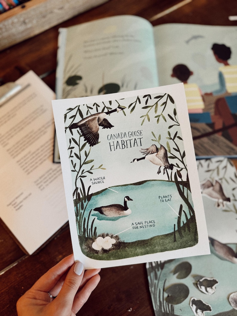 Geese & Migration | 6 Lesson Guide | Unit Study Exploring Canada Geese ...