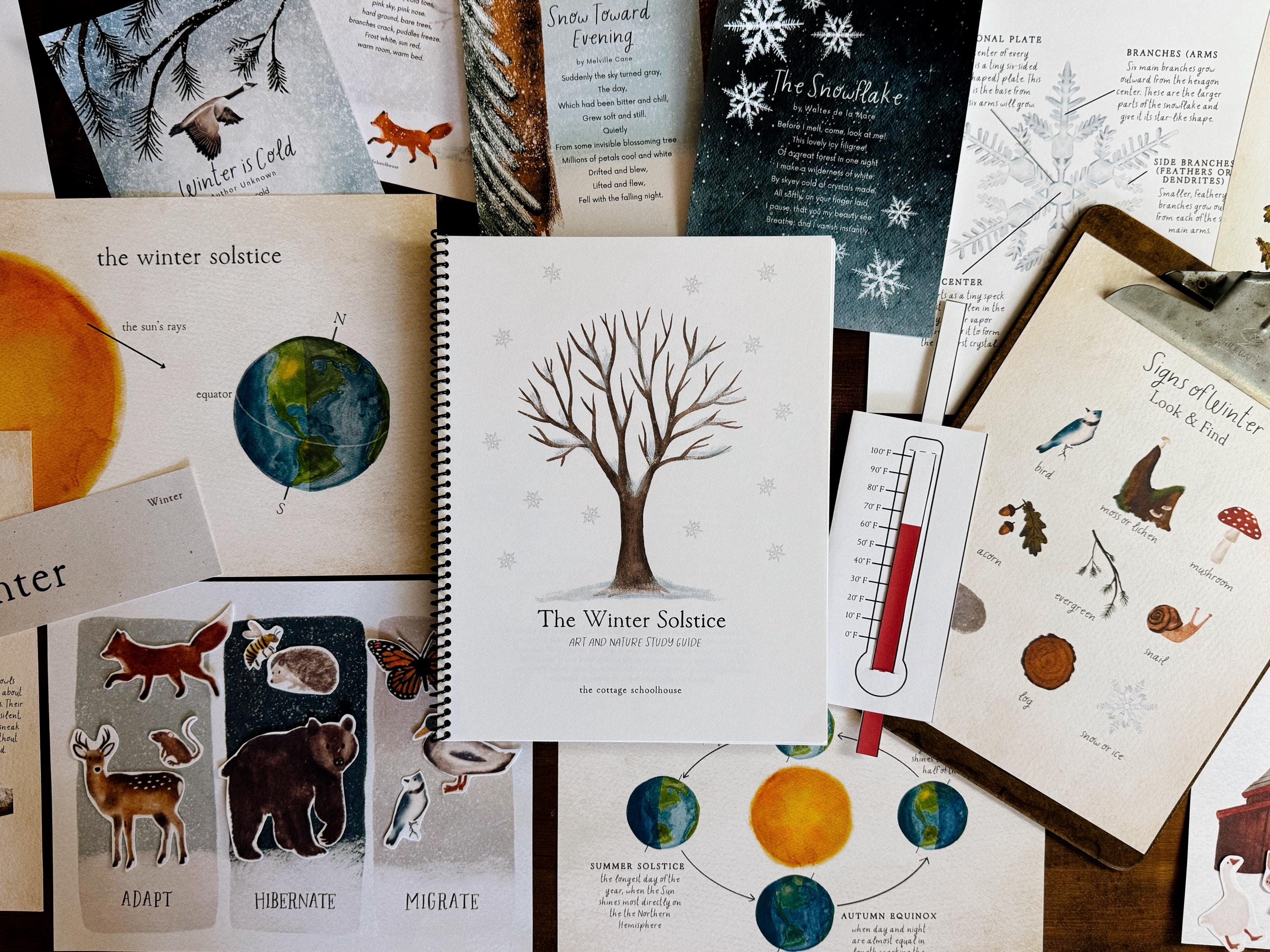 Winter Guide | Winter Unit Study Exploring the Winter Solstice, Winter ...