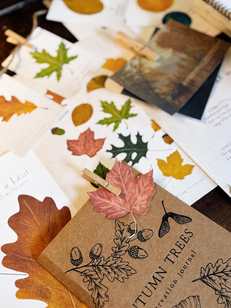 Autumn Equinox Guide | 10 Lessons | Nature Study, Autumn, Whittredge ...
