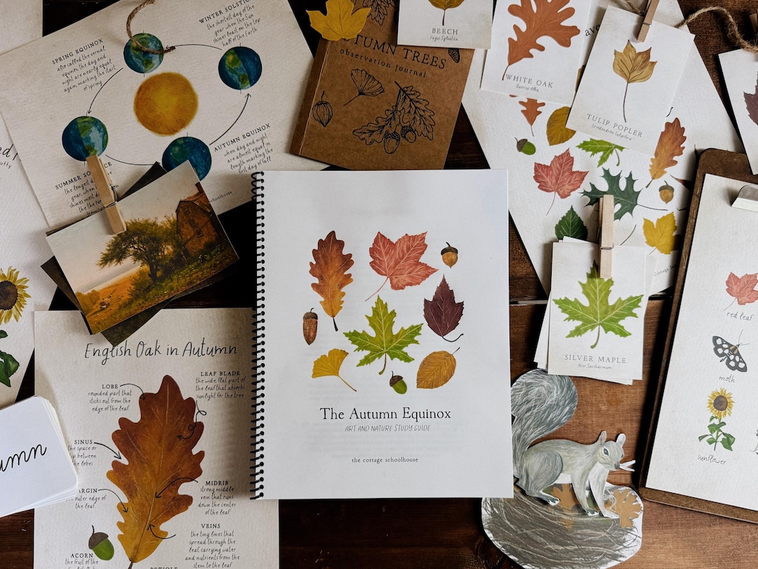 Autumn Equinox Guide | 10 Lessons | Nature Study, Autumn, Whittredge ...