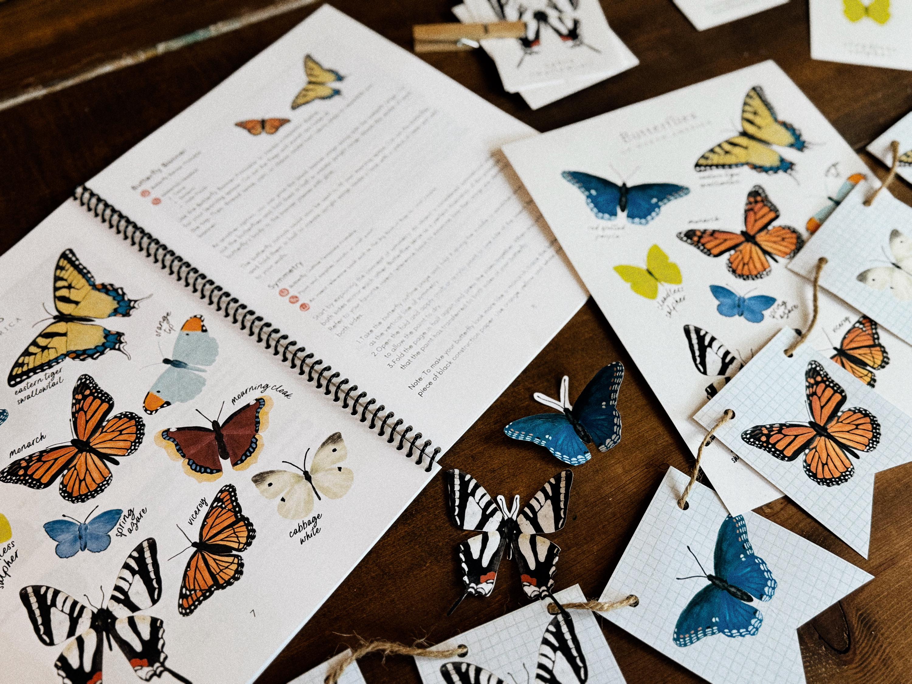Monarch Butterflies | 5 Lesson Guide | Unit Study Exploring Monarchs ...