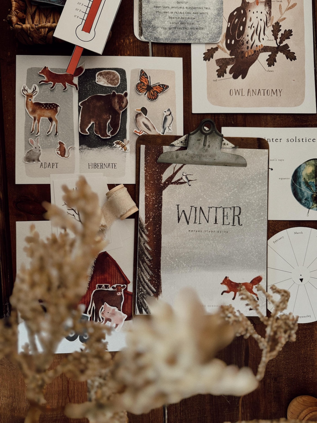 Winter Guide | Winter Unit Study Exploring the Winter Solstice, Winter ...