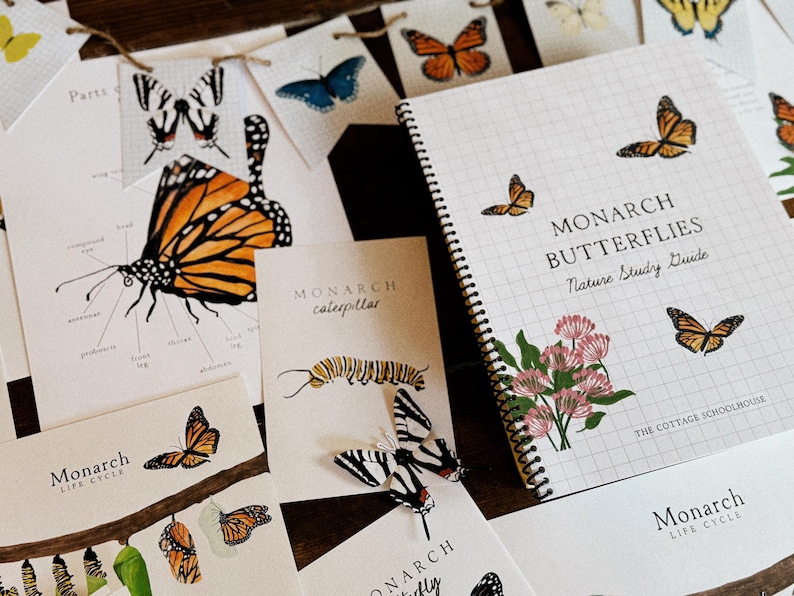 Monarch Butterflies | 5 Lesson Guide | Unit Study Exploring Monarchs ...