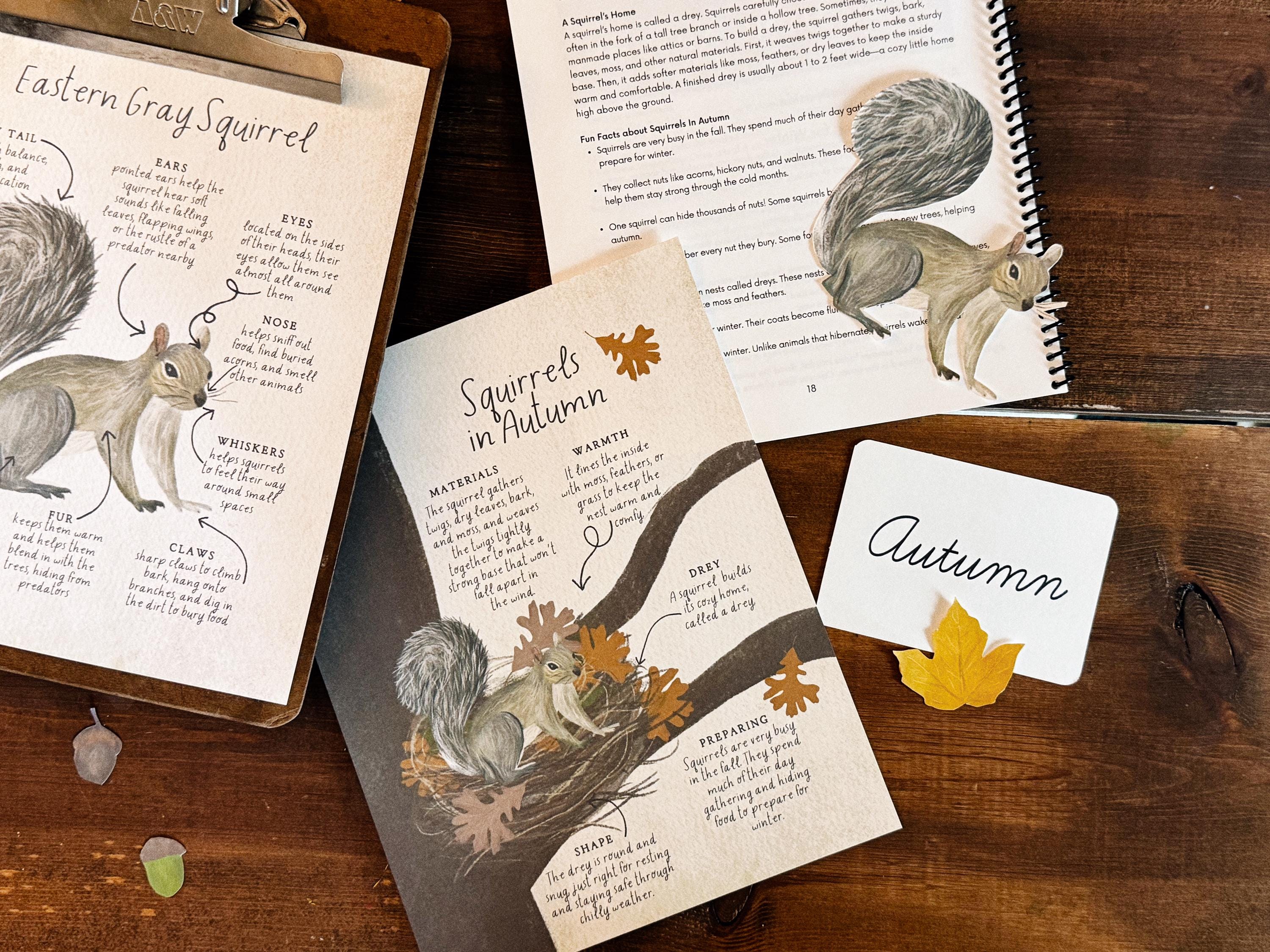Autumn Equinox Guide | 10 Lessons | Nature Study, Autumn, Whittredge ...