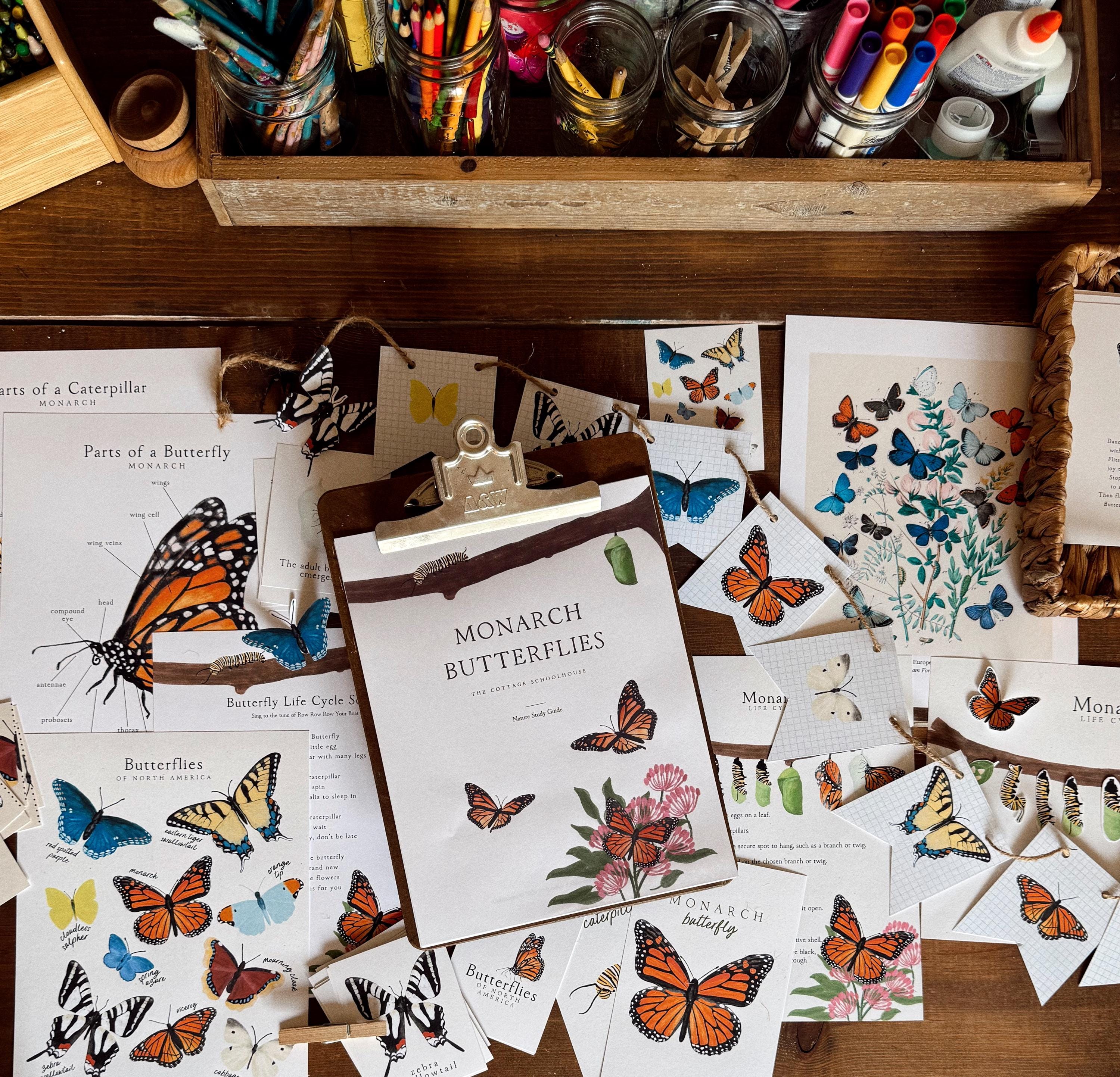 Monarch Butterflies | 5 Lesson Guide | Unit Study Exploring Monarchs ...