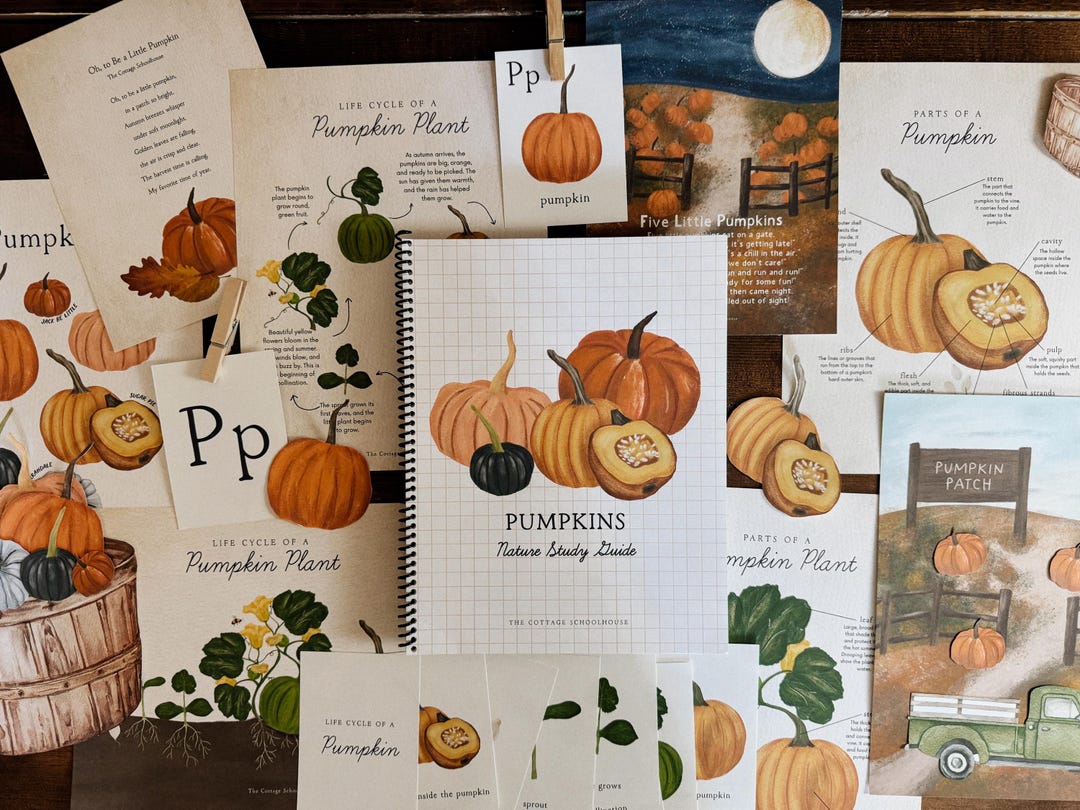 Pumpkin Nature Study Guide | 5 Lesson Unit Study | Autumn Activities ...