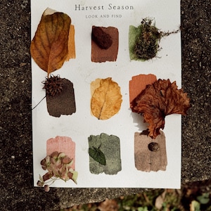 Harvest Moon Nature Study Guide | Instant Download Printable - Etsy