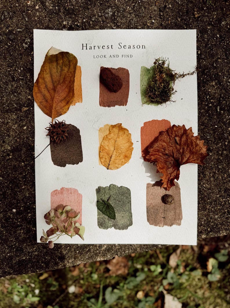 Harvest Moon Nature Study Guide | Instant Download Printable - Etsy
