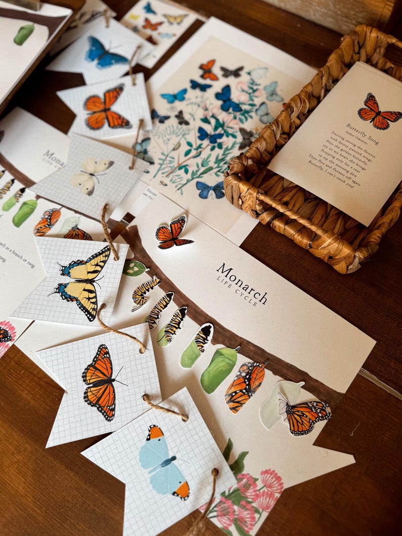 Monarch Butterflies | 5 Lesson Guide | Unit Study Exploring Monarchs ...