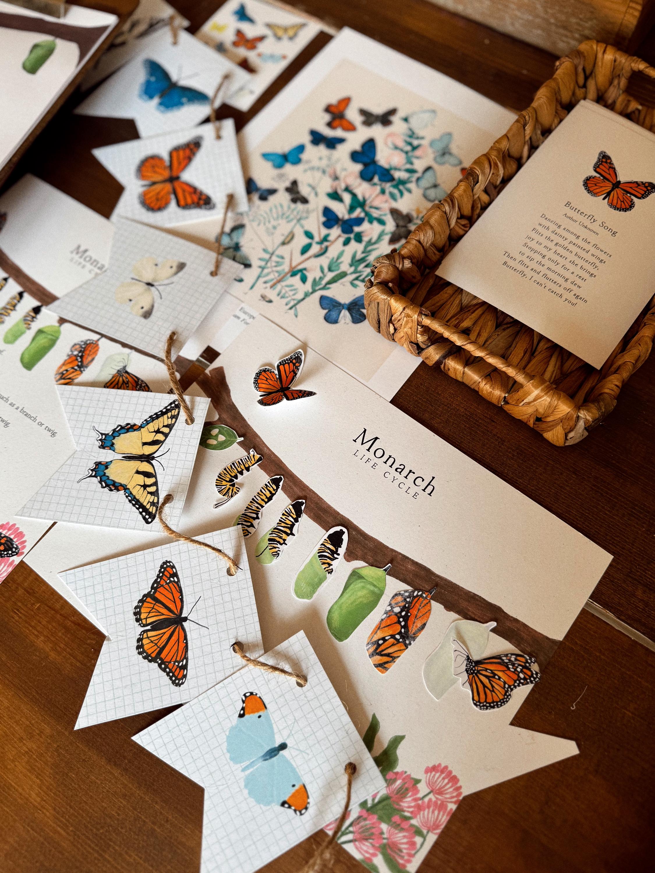 Monarch Butterflies | 5 Lesson Guide | Unit Study Exploring Monarchs ...