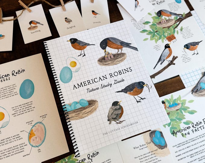 American Robin Life Cycle Pack | Homeschool Printable | 3-part Cards ...