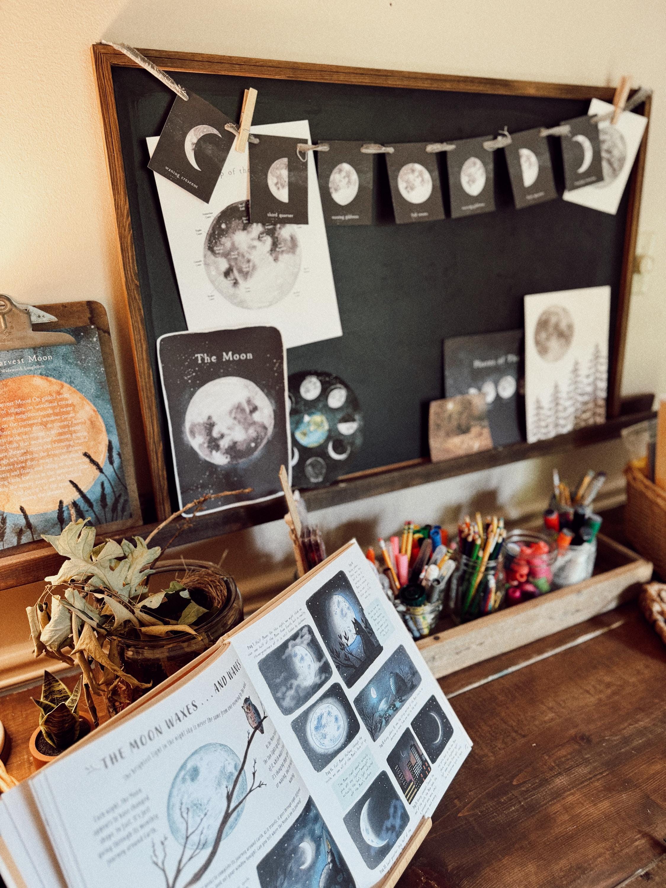 Harvest Moon Nature Study Guide | Instant Download Printable - Etsy