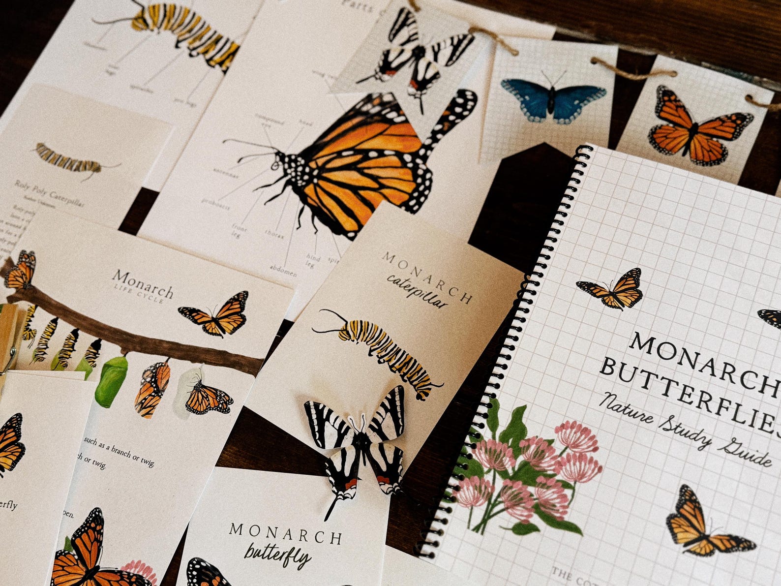 Monarch Butterflies | 5 Lesson Guide | Unit Study Exploring Monarchs ...