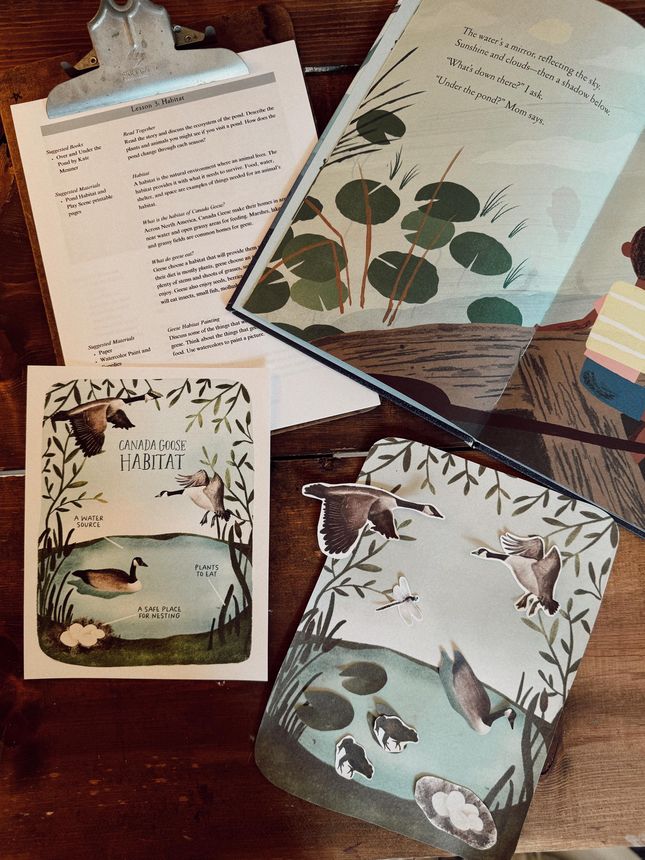 Geese & Migration | 6 Lesson Guide | Unit Study Exploring Canada Geese ...