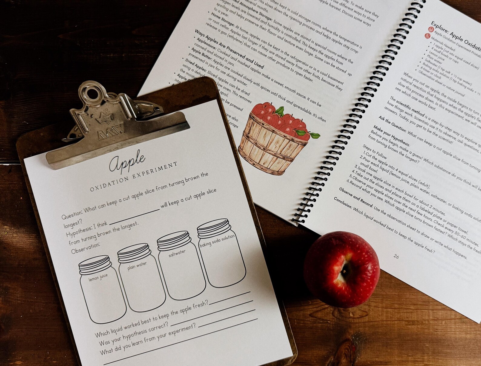 Apple Nature Study Guide | 5 Lesson Unit Study| Johnny Appleseed ...