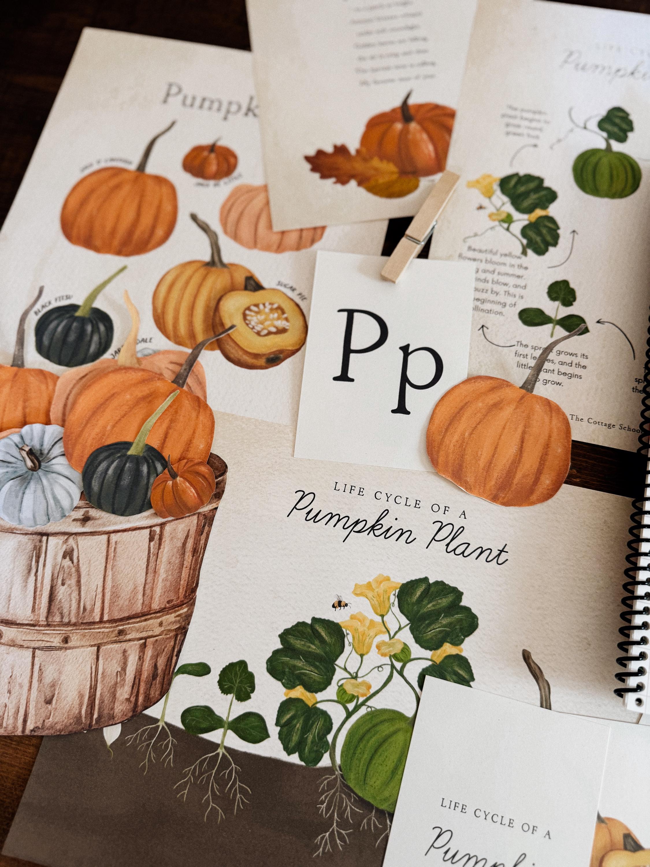 Pumpkin Nature Study Guide | 5 Lesson Unit Study | Autumn Activities ...