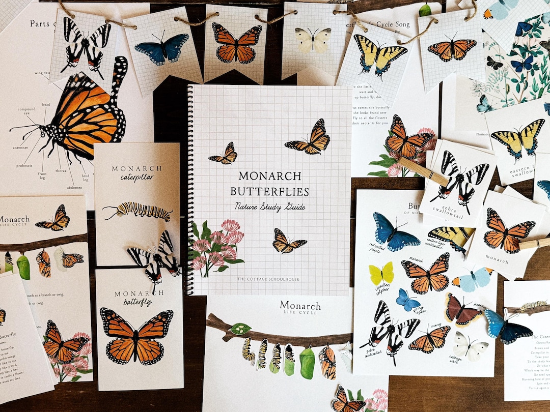 Monarch Butterflies | 5 Lesson Guide | Unit Study Exploring Monarchs ...